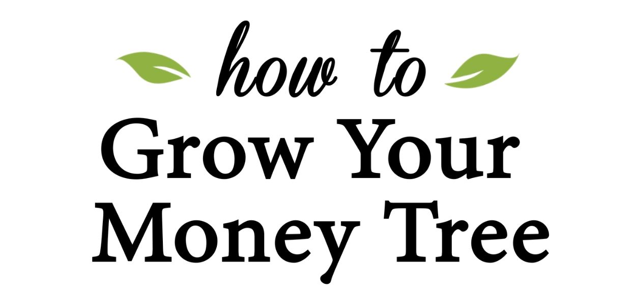 How to Grow Your Money Tree Video - Consumer Credit